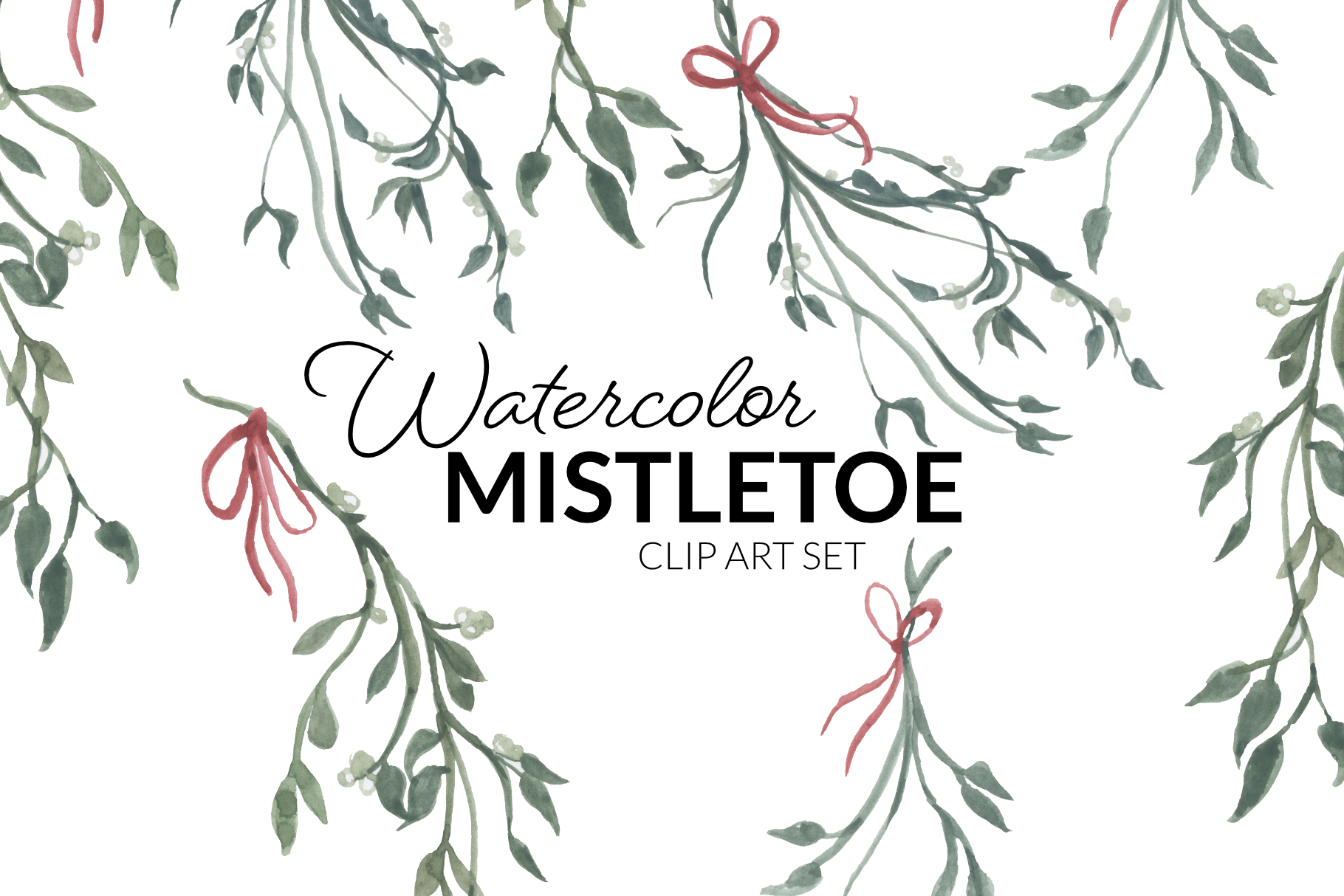 Watercolor Mistletoe Clipart | digitalpresscreation.com